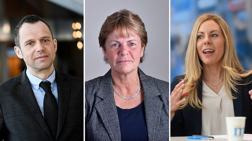 Så tycker riksdagspartierna om att fasa ut fossila drivmedel | SVT Nyheter
