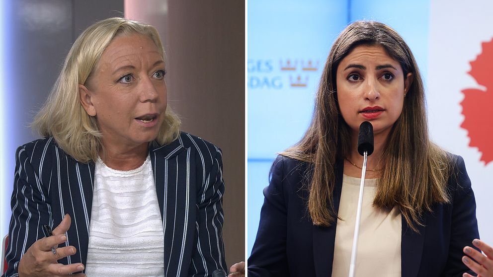 Marmorstein: ”Att stå upp för det man tror på brukar löna sig” | SVT ...