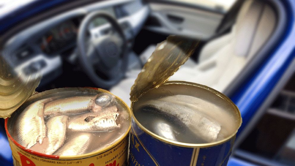 Hällde spad från surströmming i bil | SVT Nyheter