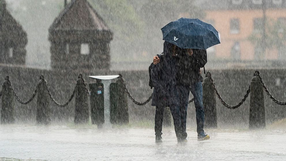 Mer regn behövs för att öka grundvattennivån | SVT Nyheter