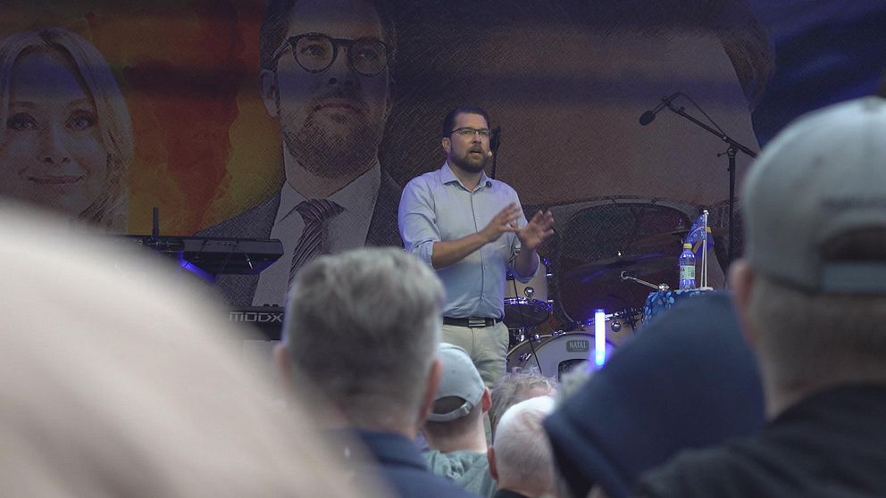 Statsvetaren Här är Tre ämnen Åkesson Sd Helst Vill Undvika Svt