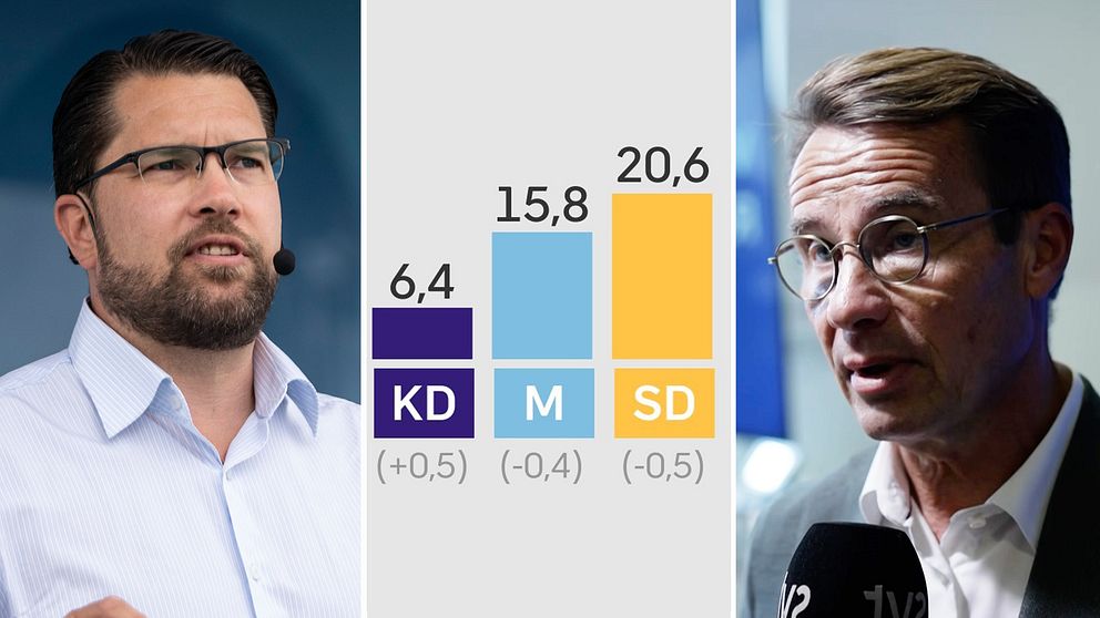 Sverigedemokraterna fortsatt näst största parti | SVT Nyheter
