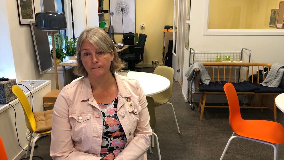 Klimatfrågan viktig – ändå backar Miljöpartiet i hela Jönköpings län ...