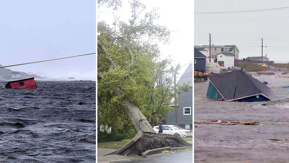 Kraftig storm drar in över Kanada – hus sveps med ut till havs | SVT ...