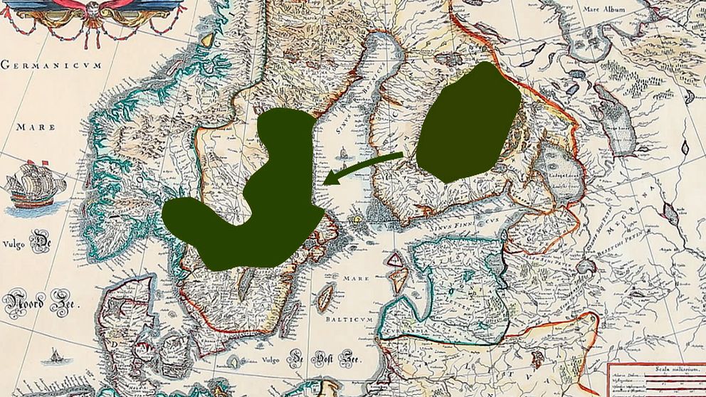 Vilka är skogsfinnarna och varifrån kom de? | SVT Nyheter