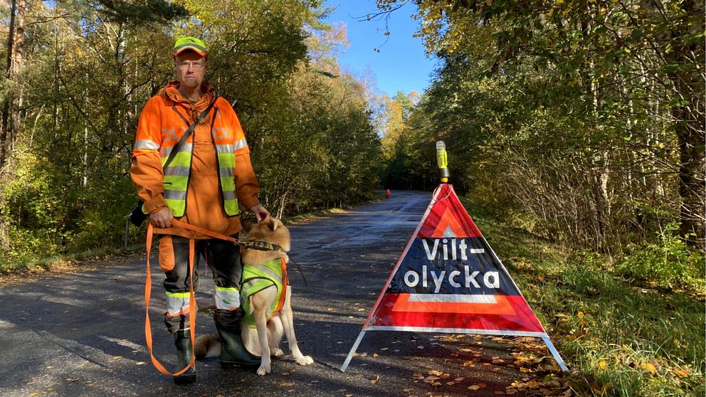 Eftersöksjägarens frustration: ”För få anmäler viltolyckor” | SVT Nyheter