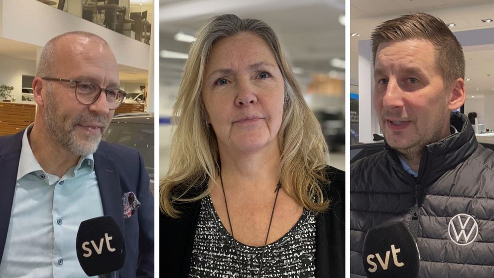 Elin Östlund i Sundsvall köpte elbil på lunchen | SVT Nyheter