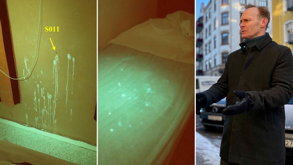 Här Erbjuder ägaren Sex Med Dotter ”vill Du Ha Den Unga” Svt Nyheter
