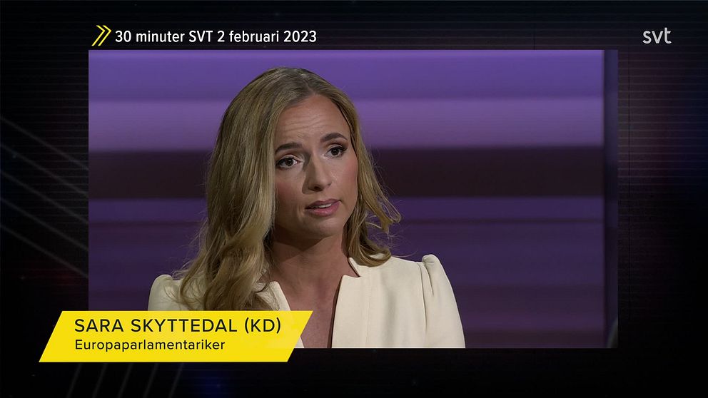 Skyttedal bryter tystnaden efter Ingerös avgång | SVT Nyheter