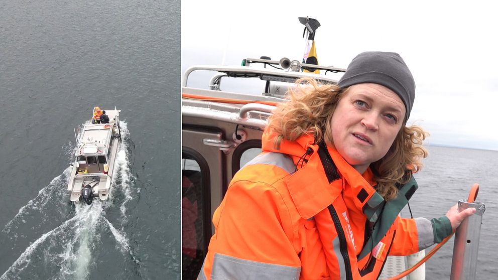 SGU ska spåra dioxiner i Vättern – för att stoppa miljöbovar | SVT Nyheter