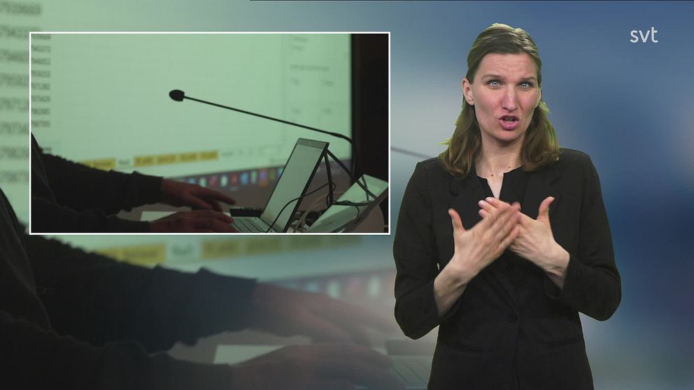 Tusentals bolag med kinesiskt ägande i Sverige | SVT Nyheter