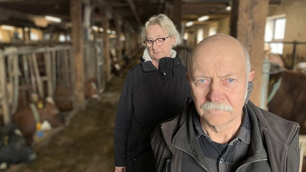 Karin Nalbin är Mullsjös sista mjölkbonde | SVT Nyheter