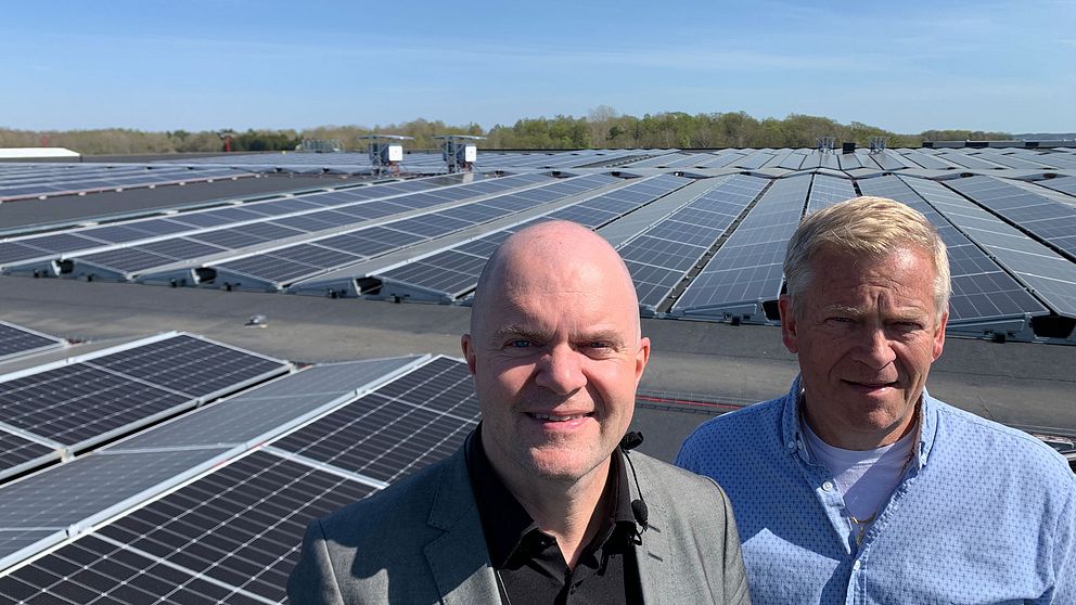 Ny solcellspark invigd: Här ska getter och solpaneler samsas i hagen ...