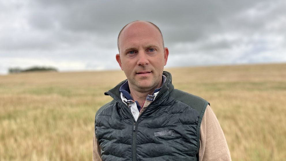 Torkan hårt slag mot bönder i hela landet – men bättre än katastrofåret ...