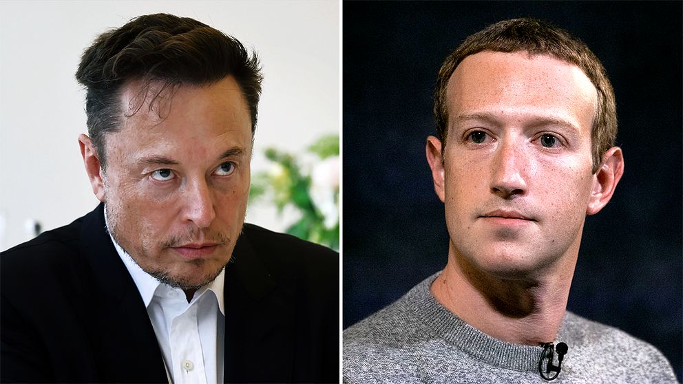MMA-stjärnan om planerade fajten mellan Elon Musk och Mark Zuckerberg ...
