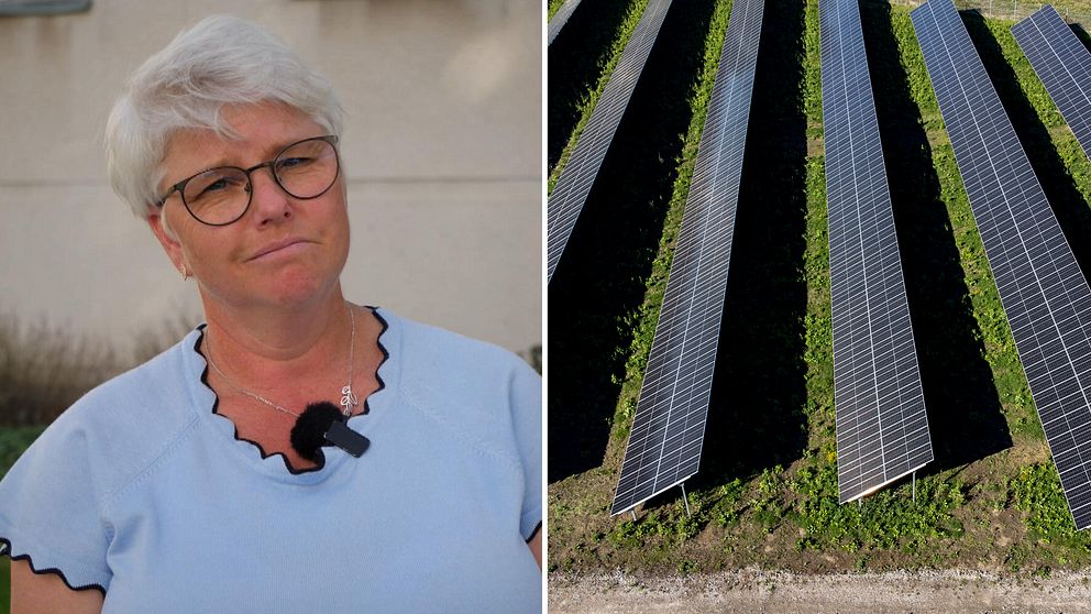 Mikaels mardröm i Tanum – kan bli granne med en solcellspark: ”Dystopi” | SVT Nyheter