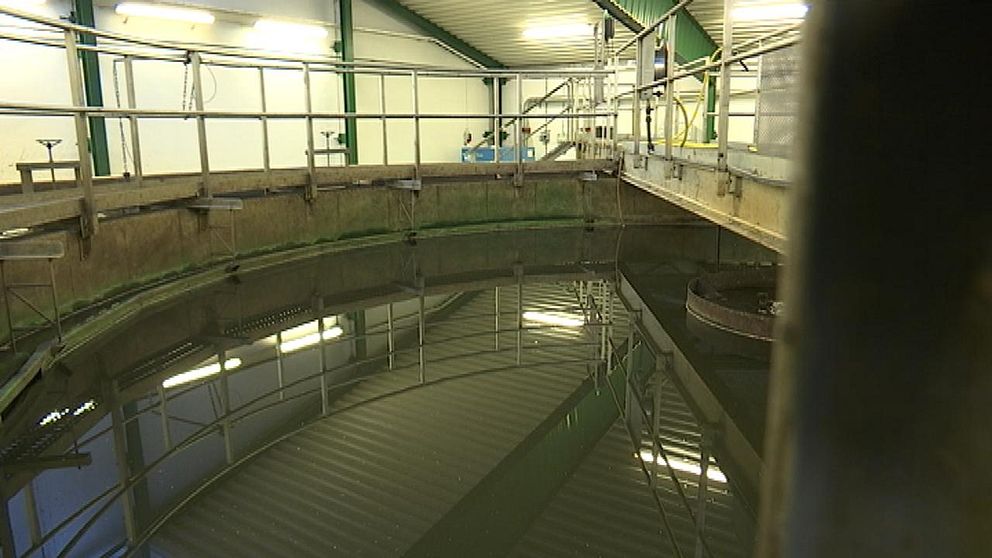 Kiviks expansion hotas – reningsverk håller inte måttet | SVT Nyheter