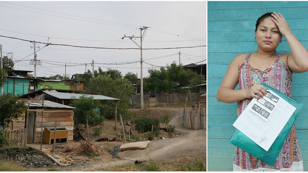 Zika skrämmer gravida Lorena | SVT Nyheter