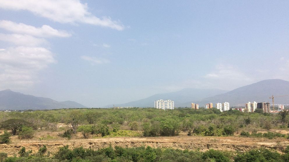 Klimatförändringar viktig orsak bakom Zika-virus | SVT Nyheter