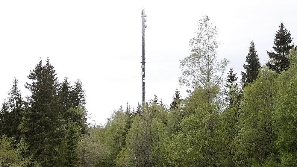 Klättrare i telemast bet polisen | SVT Nyheter