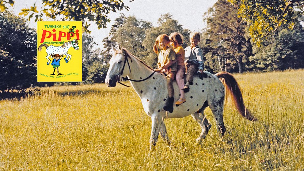 Pippi blir Longstrympin på meänkieli | SVT Nyheter