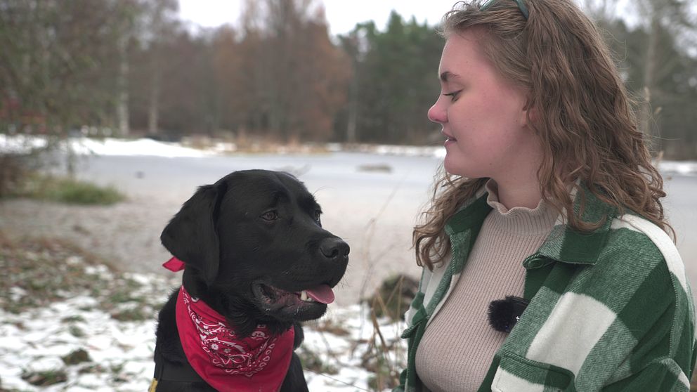 Nu har hunden Azlan tagit examen – han varnar Ally innan hon svimmar ...