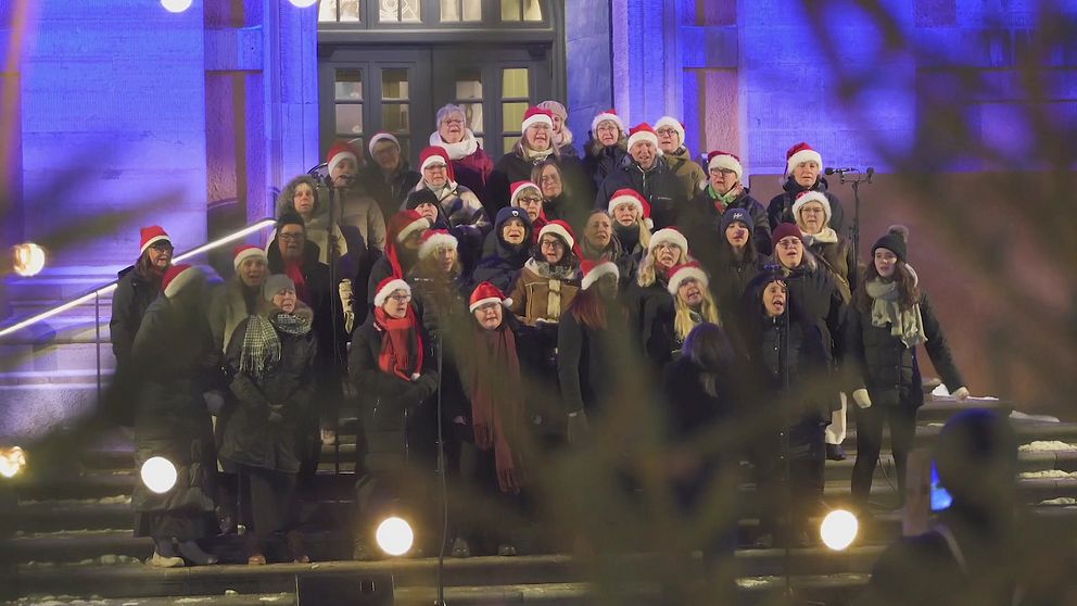Julkalender | SVT Nyheter