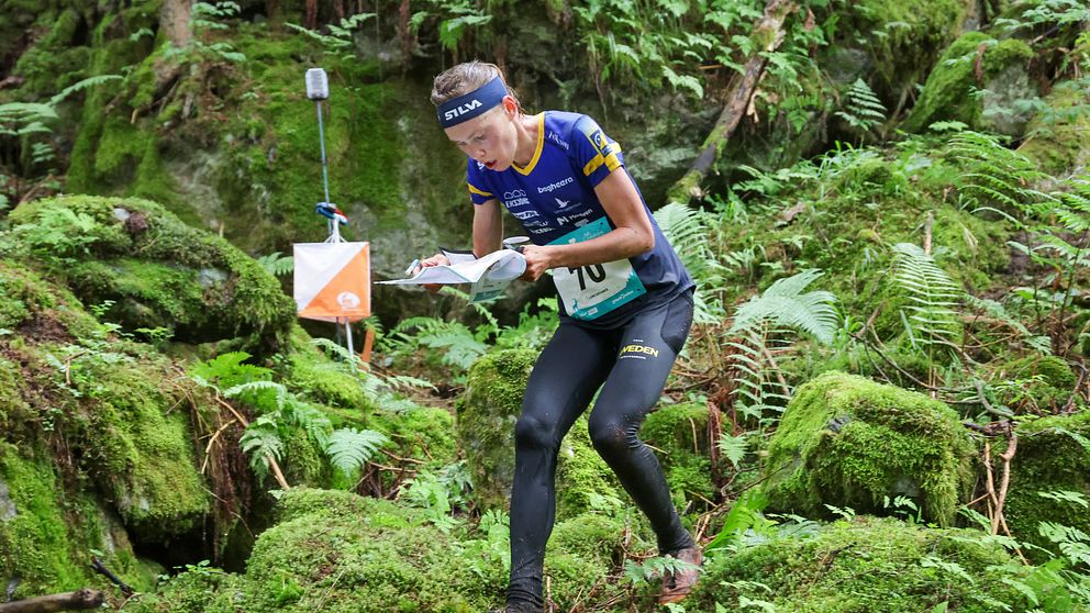 Orientering: Se svenska stjärnorna i premiären av världscupen | SVT Sport