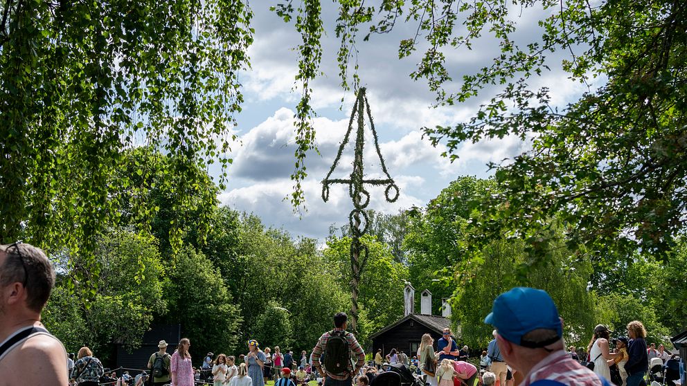 Ställ dina frågor om midsommarhelgen | SVT Nyheter