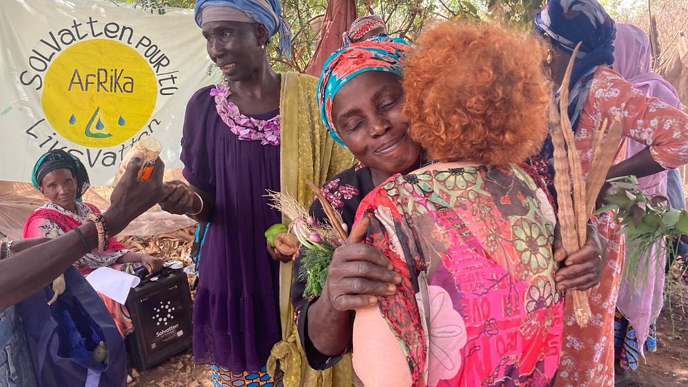 Falkenberg testar gatlampor som tar hänsyn till nattdjur – tänds när du ...