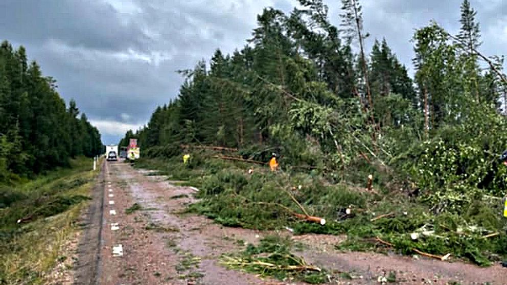 Här ligger skogen som plockepinn efter tromben i Dalarna – se ...
