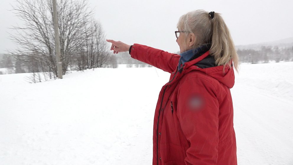 Sundsvalls kommuns svar på kritiken för solcellsparken utanför Njurunda | SVT Nyheter