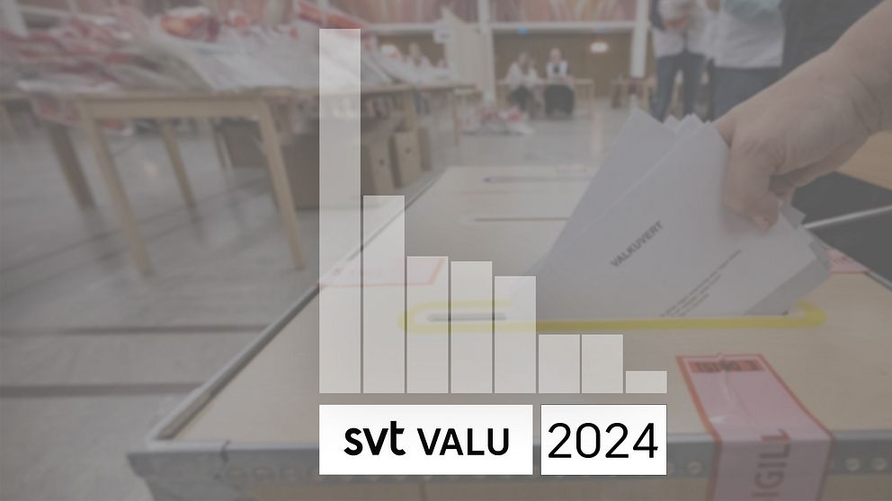 Det här är SVT:s Valu för EU-valet 2024 | SVT Nyheter