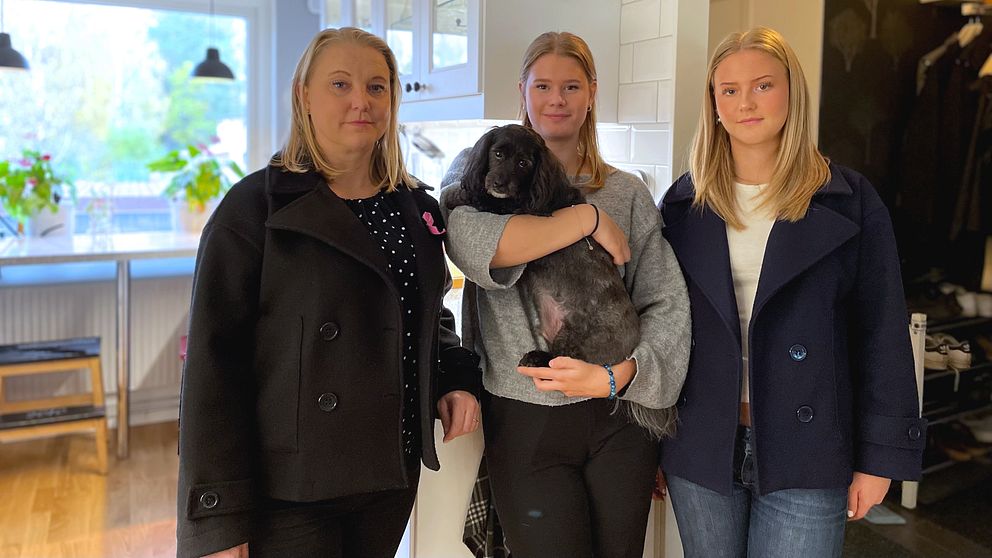 Oväntat besök – här dunkar älgen på köksfönstret | SVT Nyheter