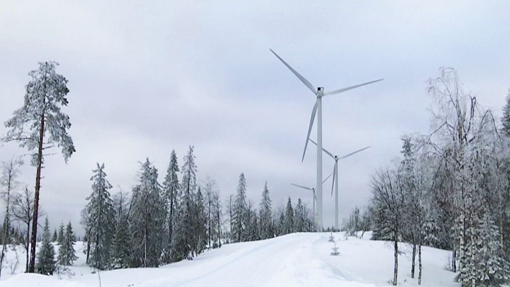 Vindkraftspengar till kommuner i länet – Åsele får mest: ”Äntligen ...