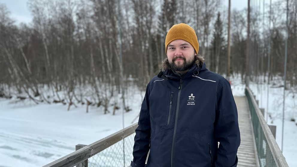 Sveriges lantbruksuniversitet | SVT Nyheter