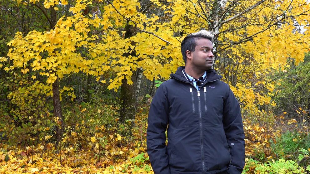 Adam hade svårt att få vänner – var tredje ung besväras av ensamhet ...