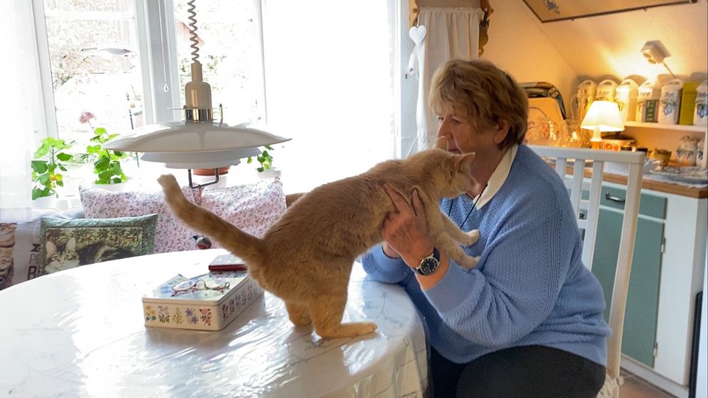 Solveig, 84, JO-anmäler Ronneby kommun: ”Ett otrygghetslarm” | SVT Nyheter