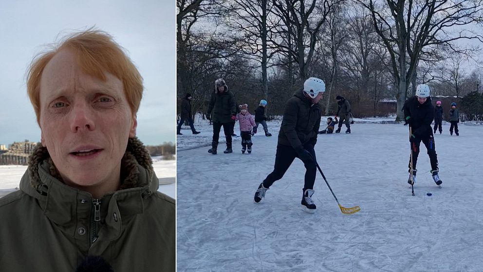 Håll kollen på pollen – mycket björk väntar | SVT Nyheter