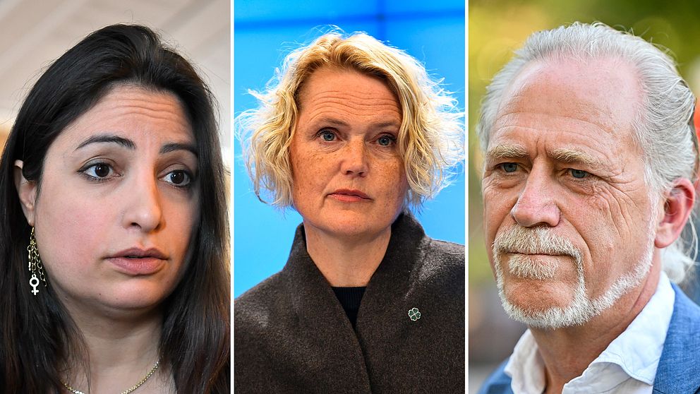 Nooshi Dadgostar | SVT Nyheter