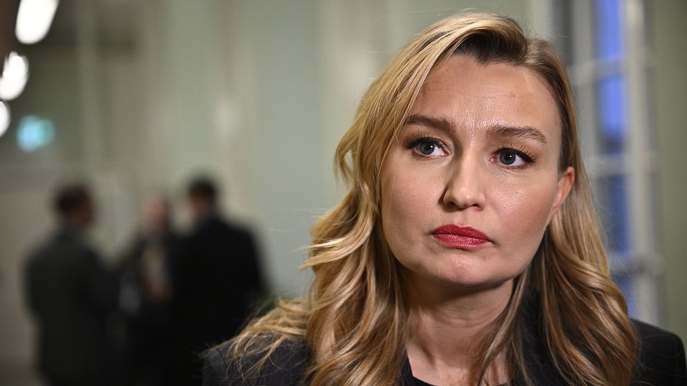 Busch: Höjda elnätsavgifter ska granskas | SVT Nyheter