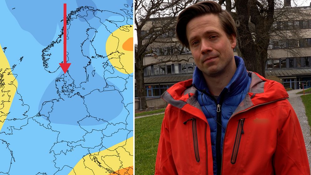 Träningsinfluencern Här är Tre Fällor Att Undvika Svt Nyheter