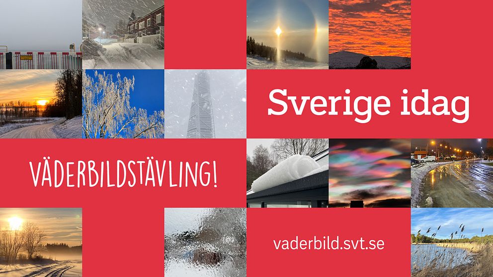 Väderbildstävling vecka 5 | SVT Nyheter