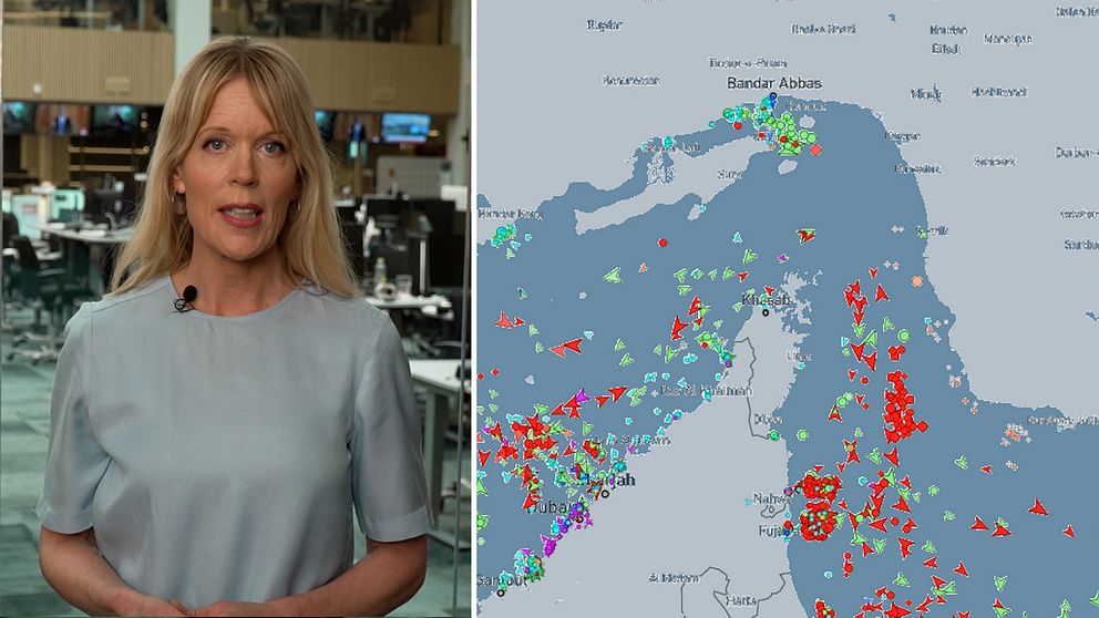 Stina Blomgren | SVT Nyheter
