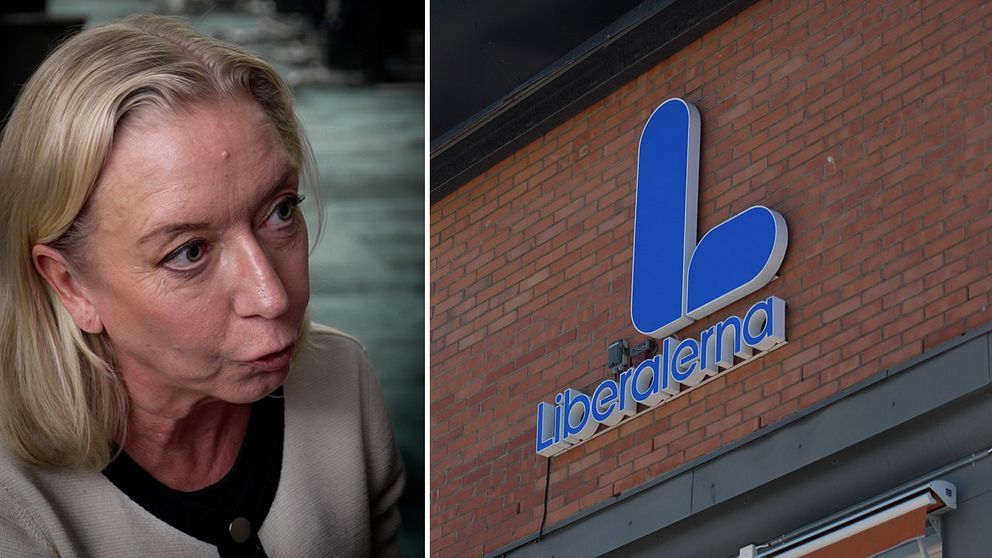 Elisabeth Marmorstein | SVT Nyheter