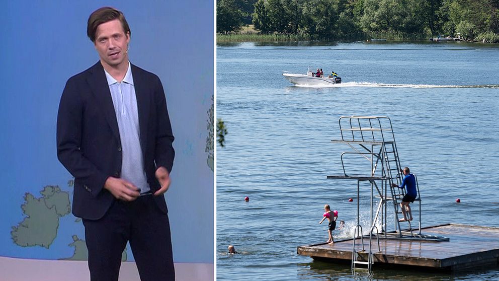 Lista: Så ska du agera vid en hundattack | SVT Nyheter