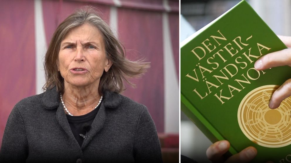 Kritiken, avhoppen och idén – här är alla turerna kring kulturkanon ...