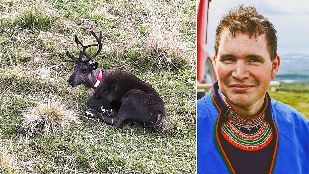 Privatperson skänkte en miljon kronor till äldre i Malung ...