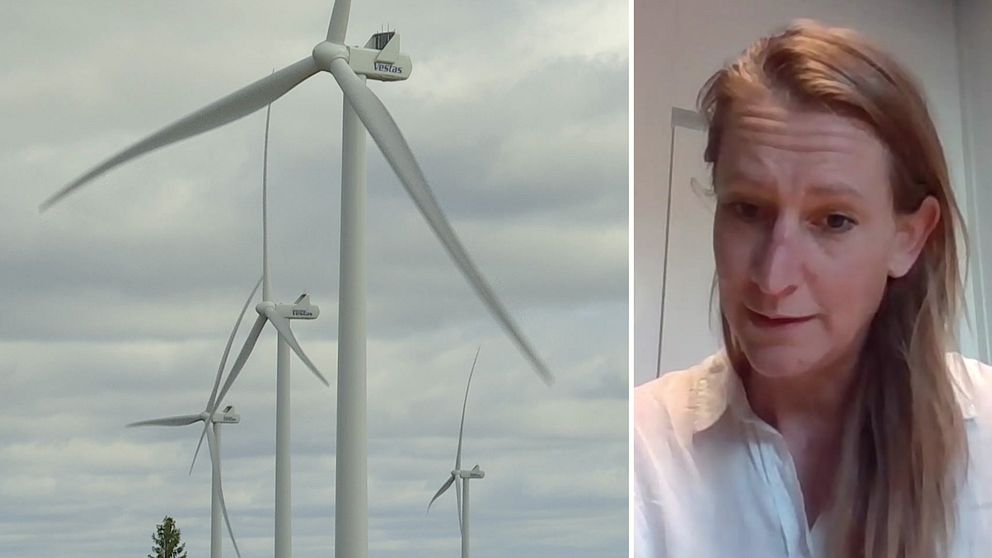 Mångårig vindkraftstvist avgjord – Skorpedsbon: ”Vi kommer inte ge oss ...