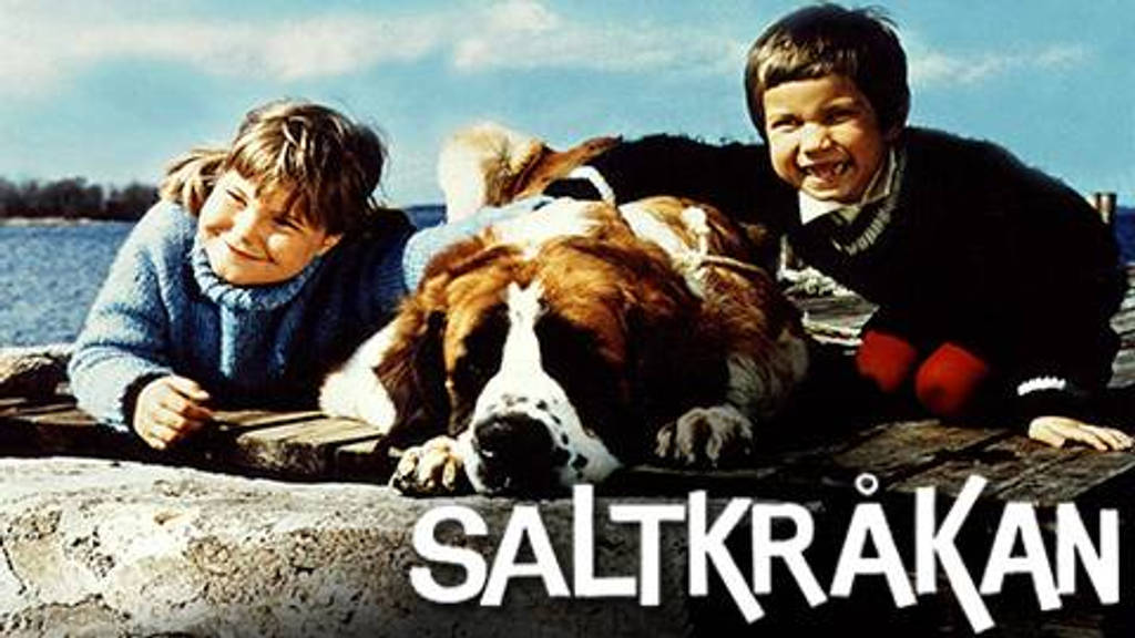 Så här går det till på Saltkråkan | SVT Play